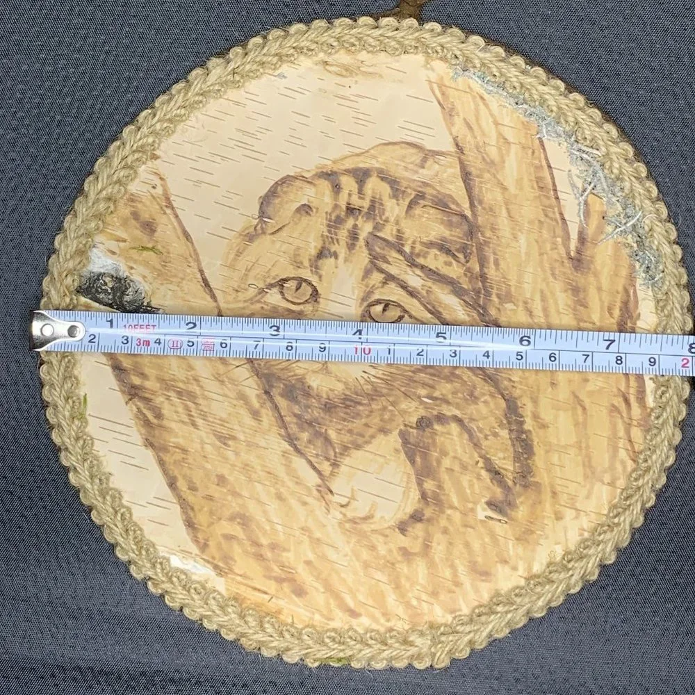 Handmade | Wall Decor | Handmade Birch Bark Pyrography Scottish Fold ...